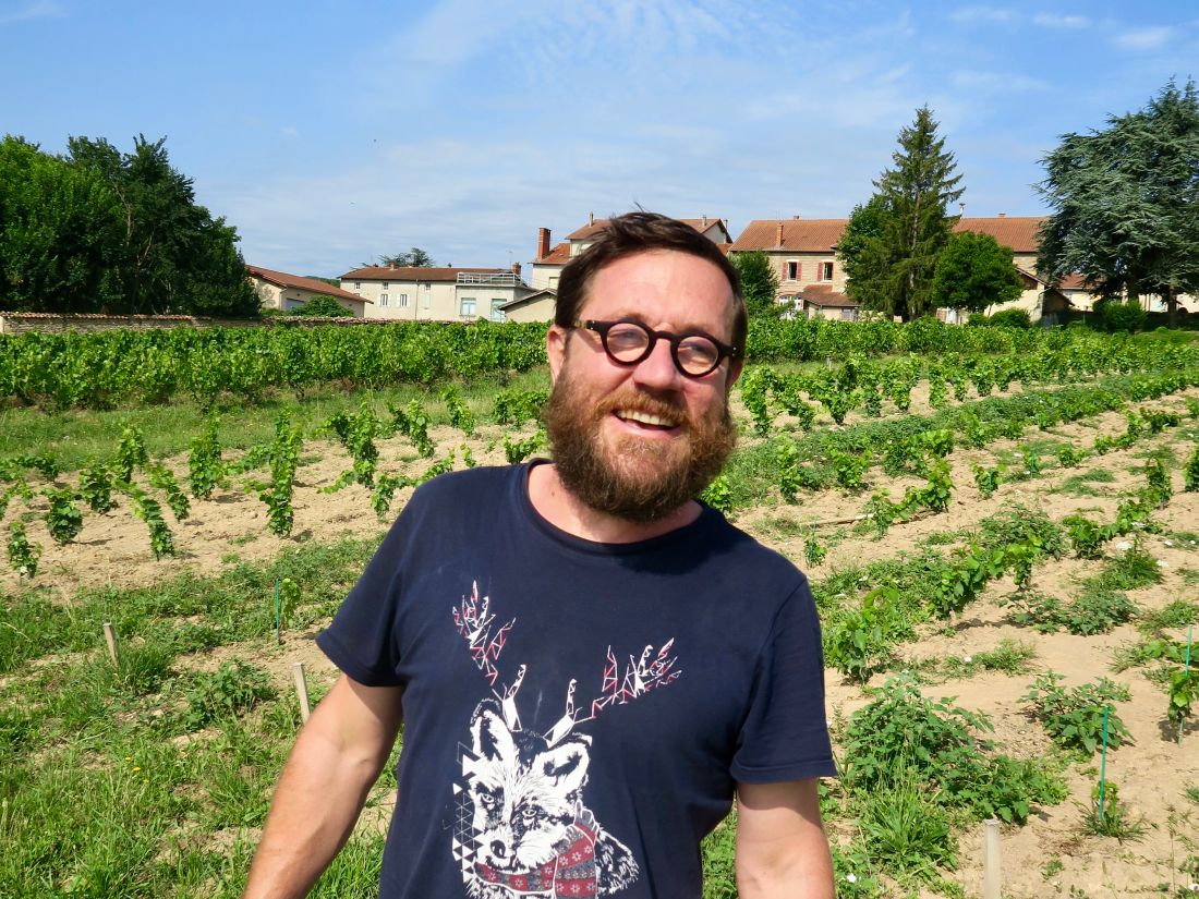Thomas Rivier - Bojotomix – Cocorico Wine Shop